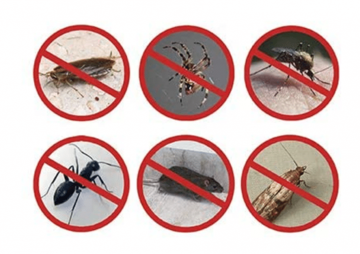 Pest Reject Pro Reviews ️ Pest Reject Pro Results 2025