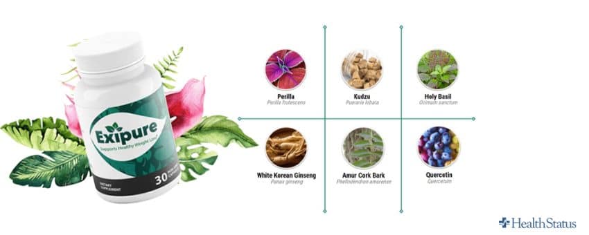 Exipure Reviews 2023: Does Exipure Weight Loss Pills Work?